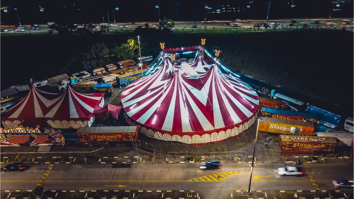 Não se engane: isto aqui é um circo