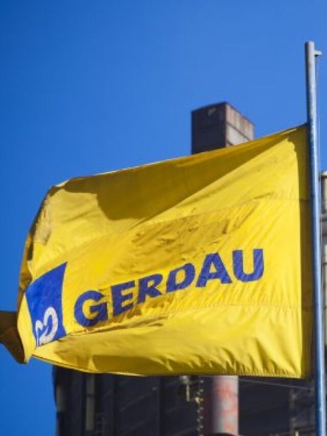 Por que Gerdau (GGBR4) substituiu Vale (VALE3) na carteira de ...