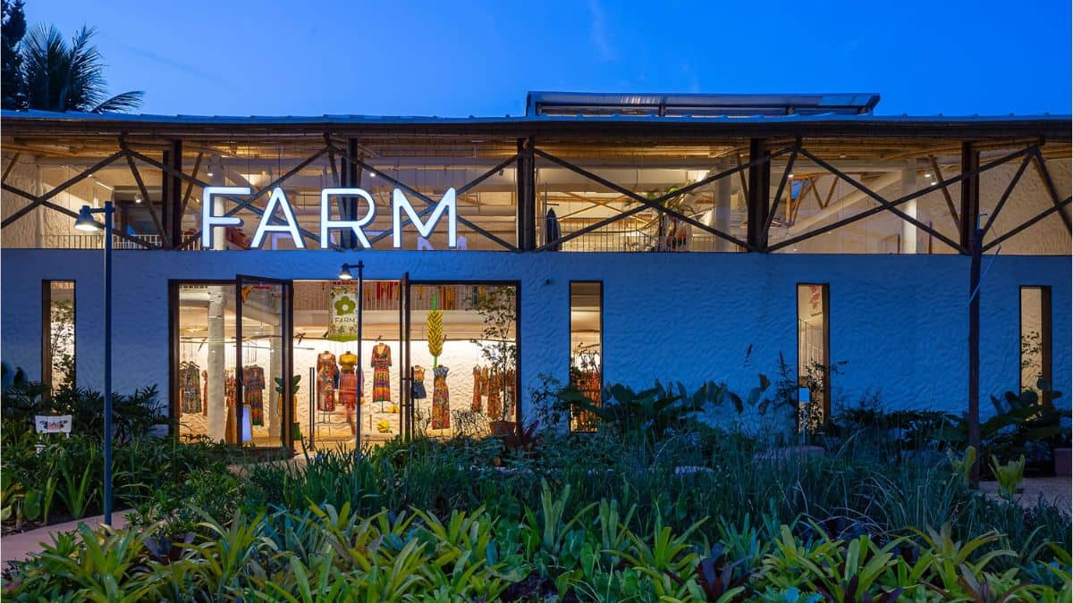 Grupo Soma (SOMA3): apesar do bom desempenho no 4T22, ação não é a ...